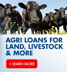 Contact Security Bankcard Center